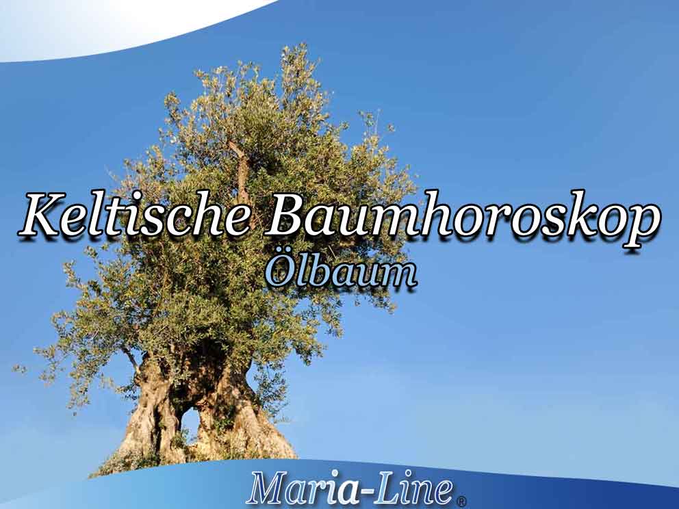Keltisches Baumhoroskop Die 21 Bäume des Baumkalenders